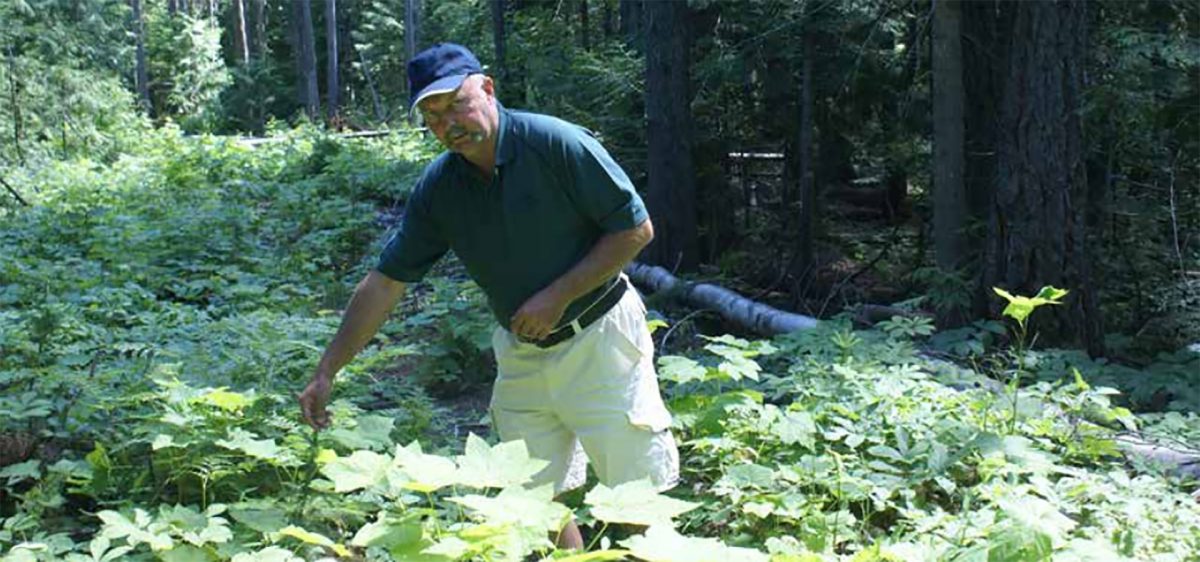 Woodlot Licences Asset to Selkirk College | Woodlots BC