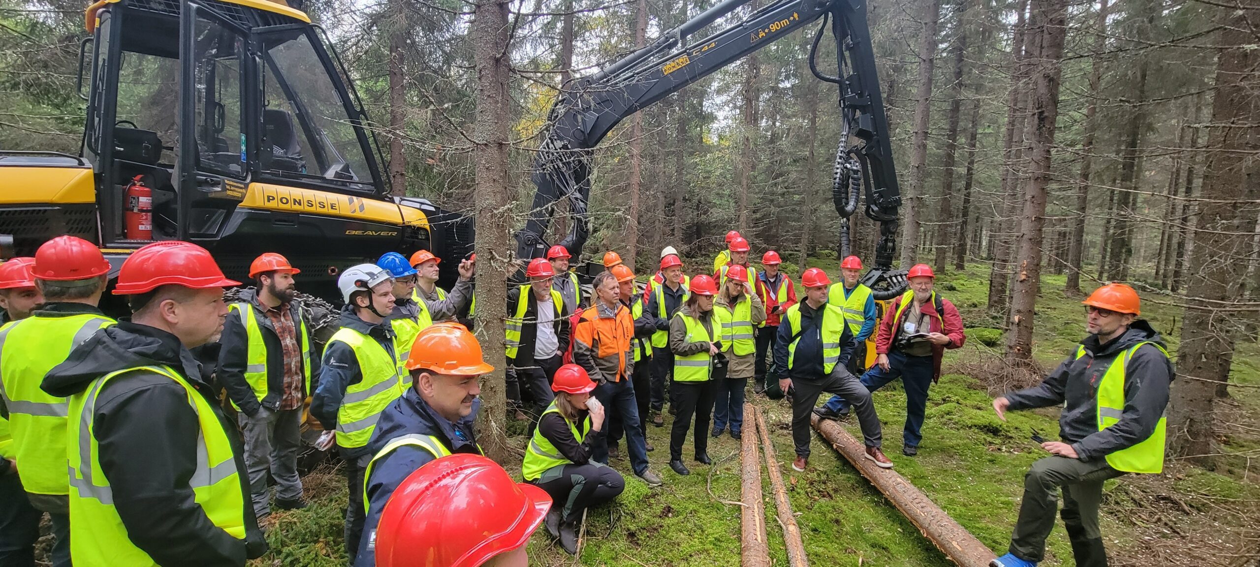 International Forestry | Woodlots BC